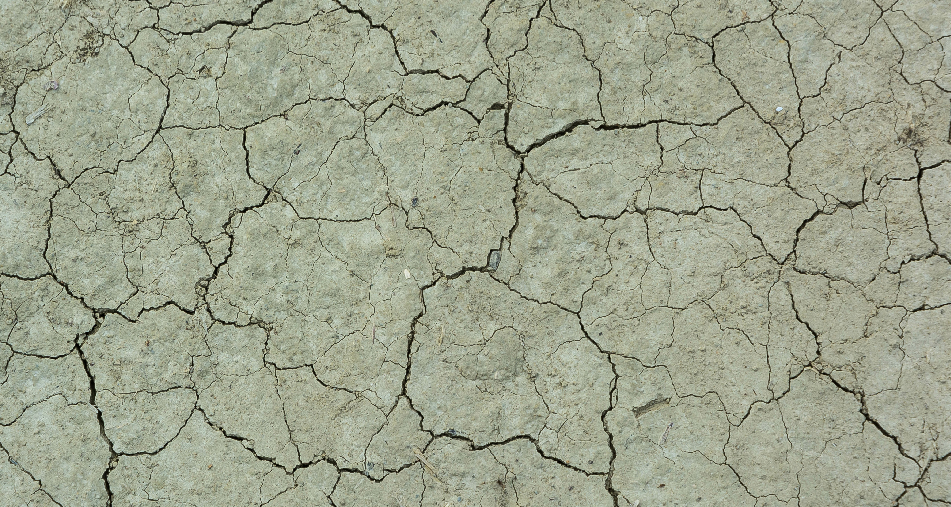 Come rendere fertile un terreno scarso di nutrienti – Biotica Come rendere fertile un terreno scarso di nutrienti – Biotica